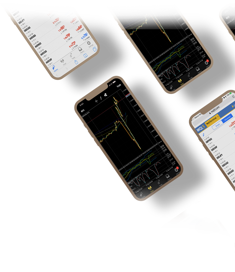 TRADING PLATFORM - LDN Global Markets